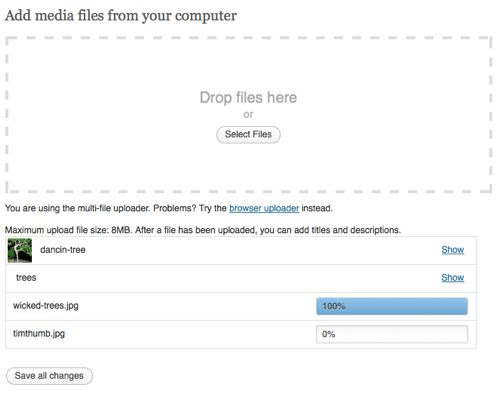 Easy Steps To Add Lightbox Effect To WordPress Galleries