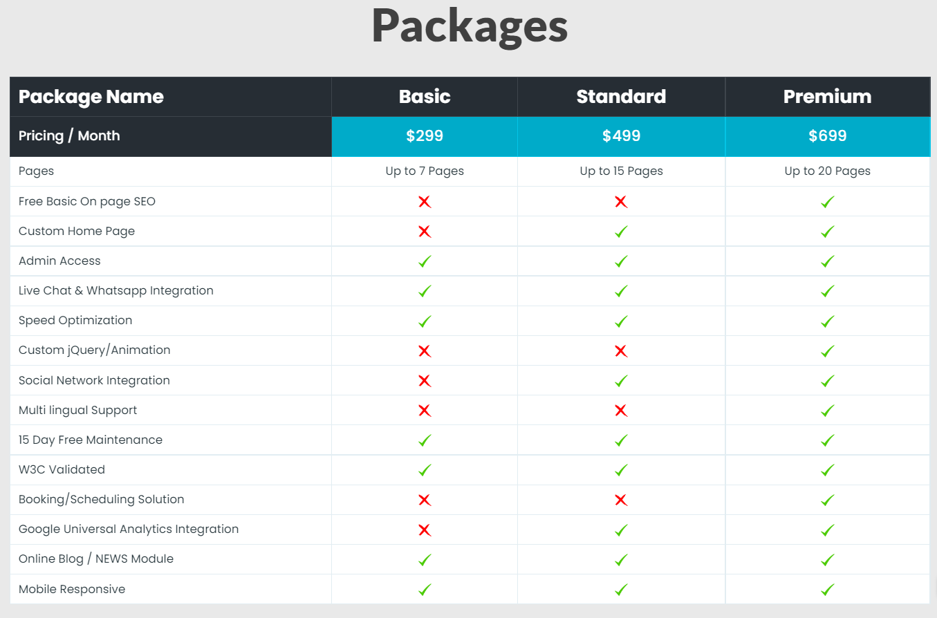 How to Choose the Best Shopify Developer for Your Business