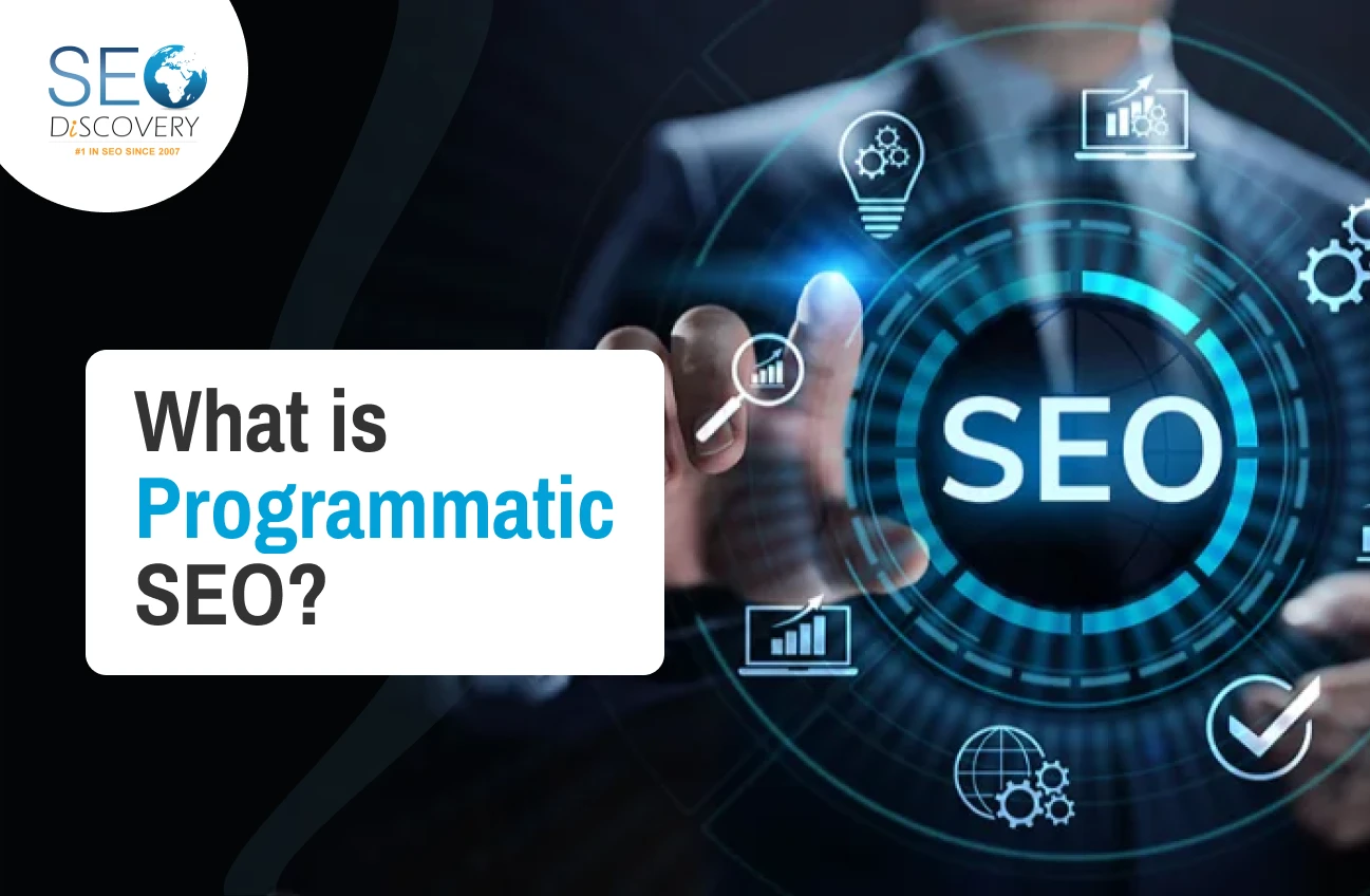 What is Programmatic SEO? - Seodiscovery Blog